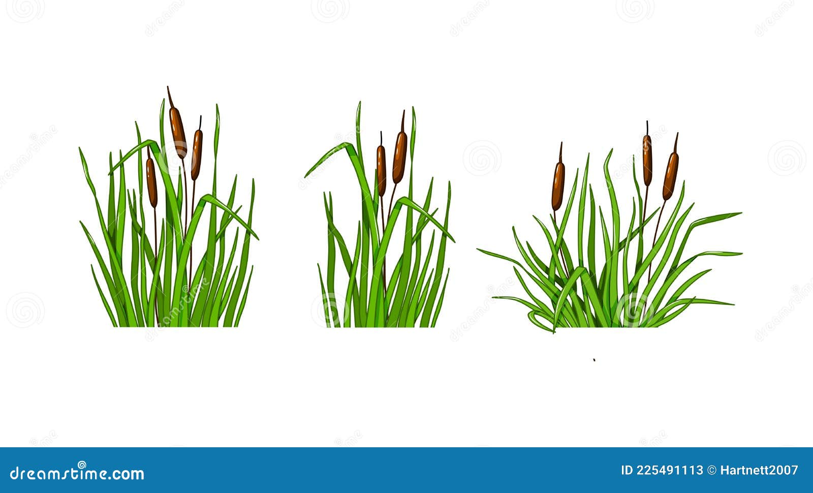 Reed Grass, Bush Black Silhouette - Isolated Cartoon Vector ...