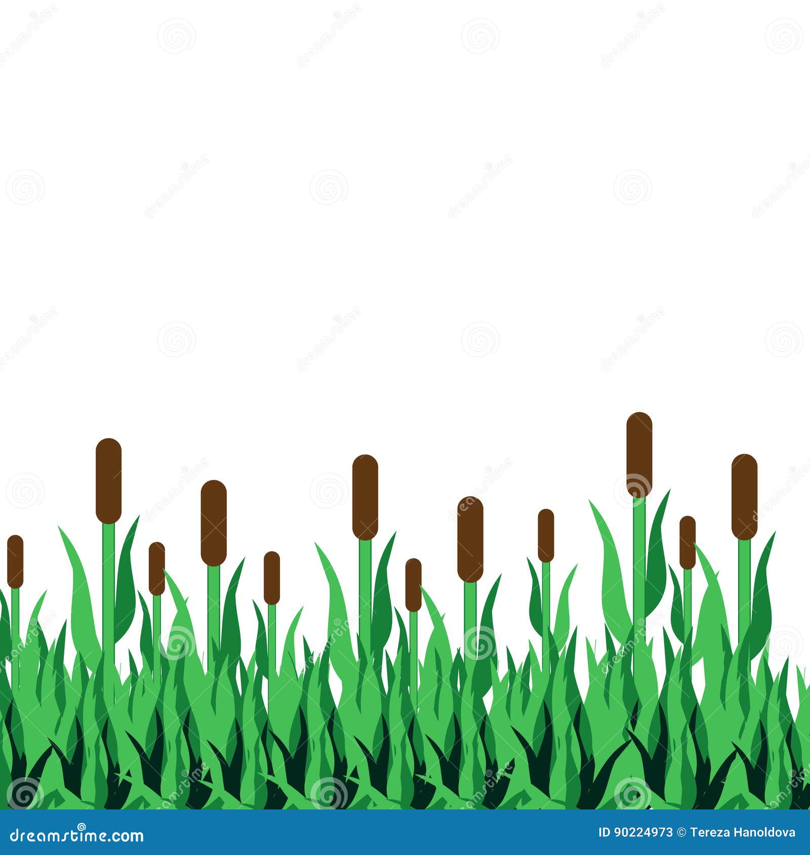 Reed with Grass on White Background Stock Vector - Illustration of ...