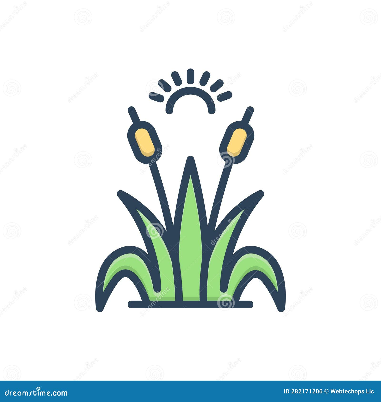 Color Illustration Icon for Reed, Sugarcane and Plant Stock Vector ...