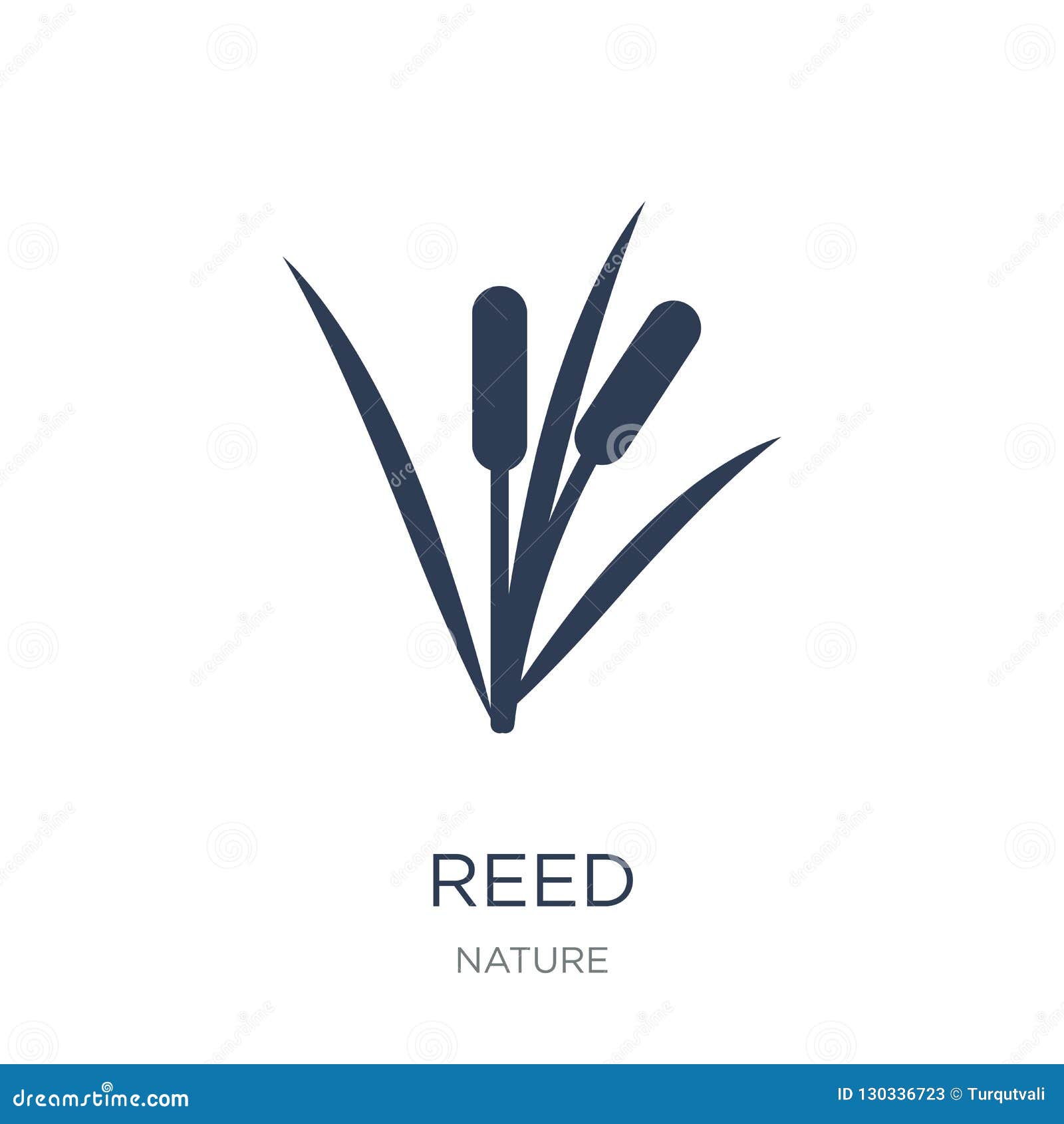 Reed Icon. Trendy Reed Logo Concept On White Background From Nat ...