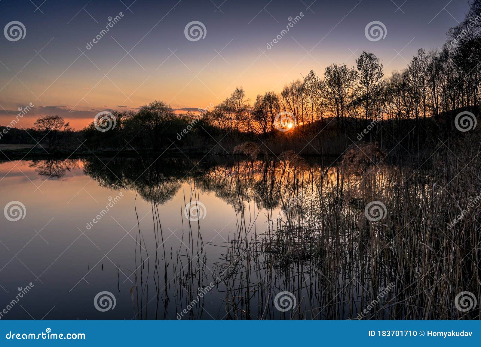 Reed Lake with a Reflective Surface Stock Photo - Image of trees, calm ...