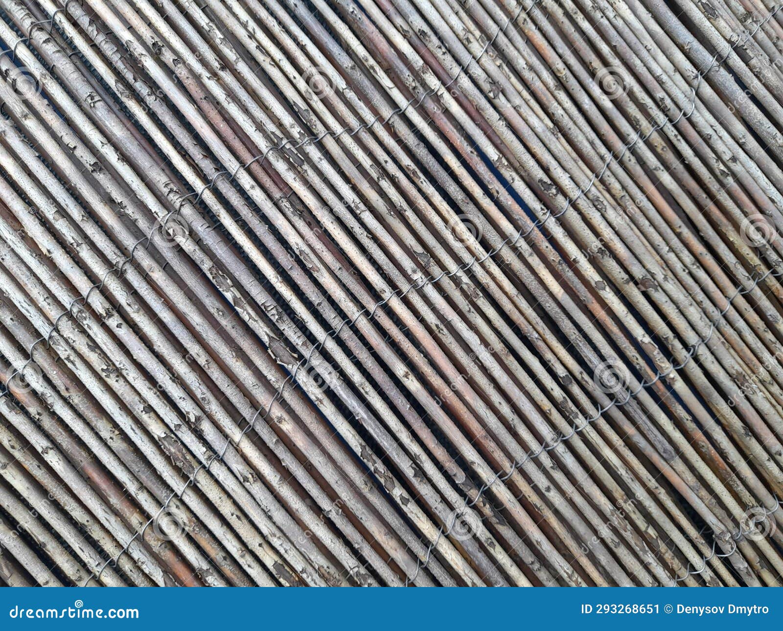 Reed mat. Reed fencing stock image. Image of natural - 293268651