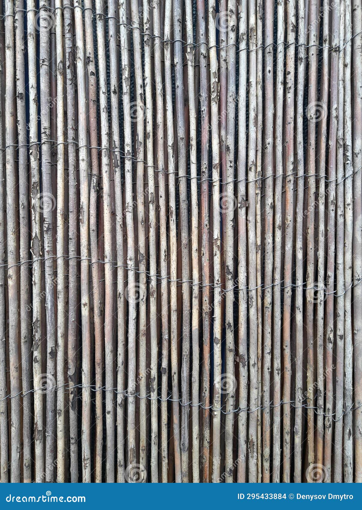 Reed mat. Reed fencing stock photo. Image of summer - 295433884