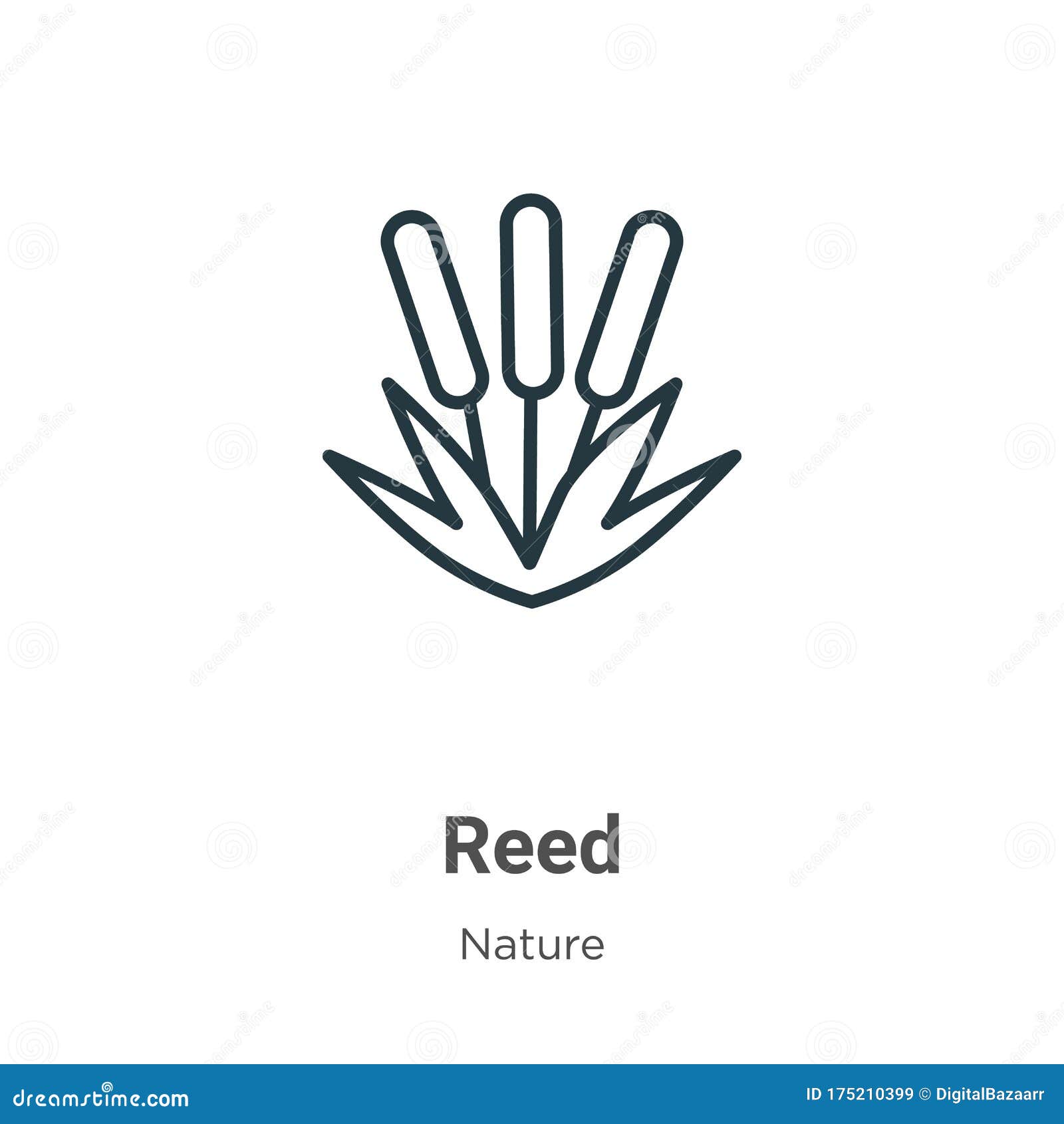 Reed Outline Vector Icon. Thin Line Black Reed Icon, Flat Vector Simple ...