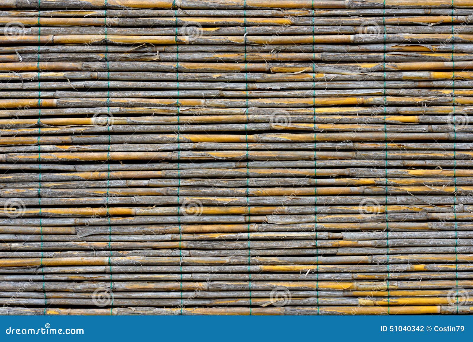 Reed panel stock photo. Image of wicker, natural, close - 51040342