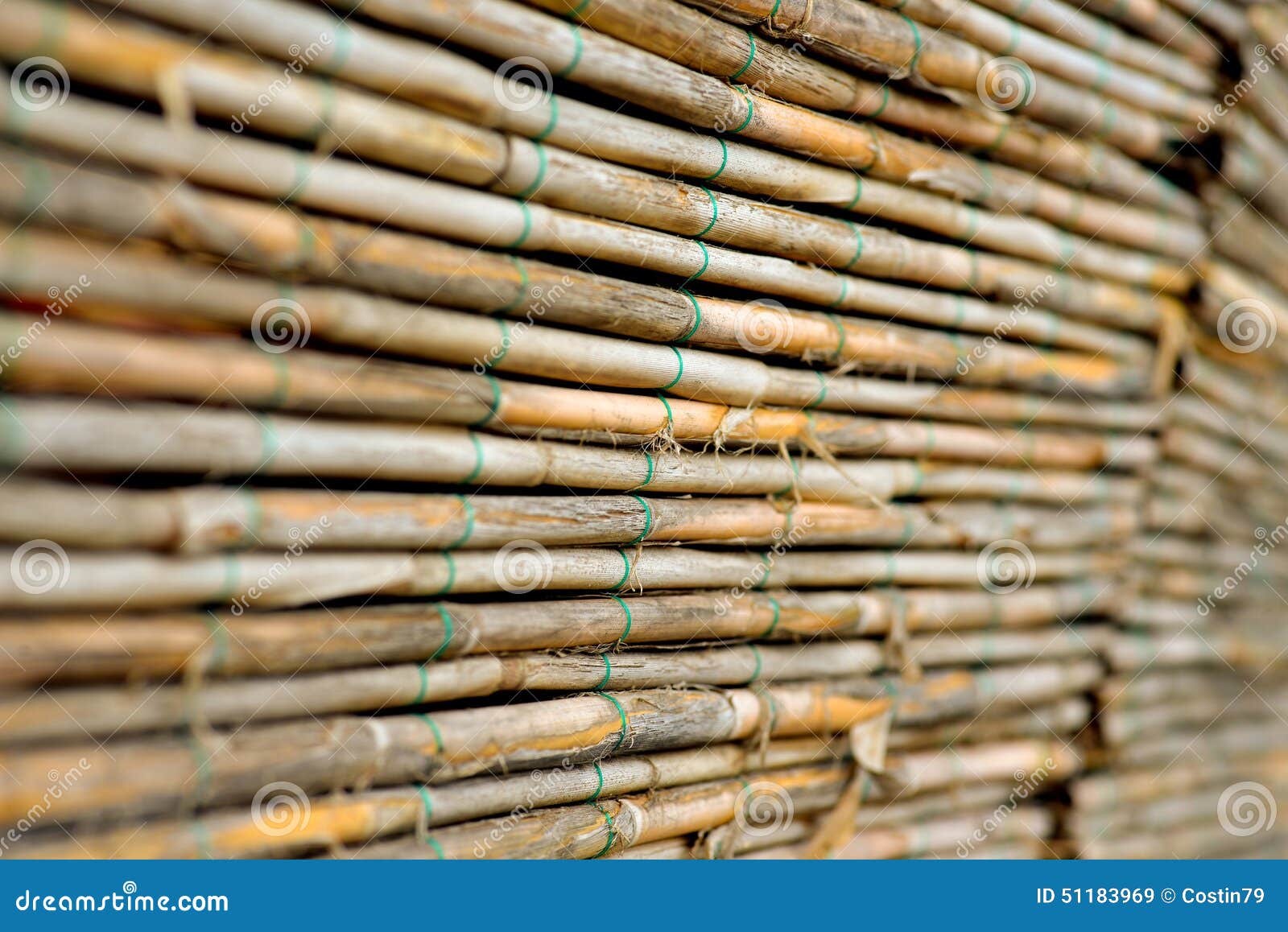Reed panel stock image. Image of traditional, gardening - 51183969