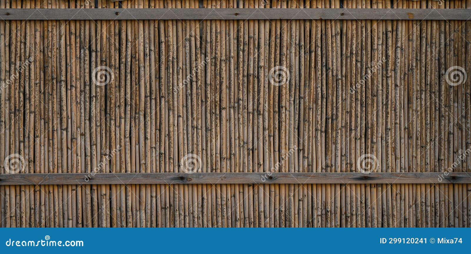 Reed Partition As a Background 3 Stock Image - Image of design, texture ...