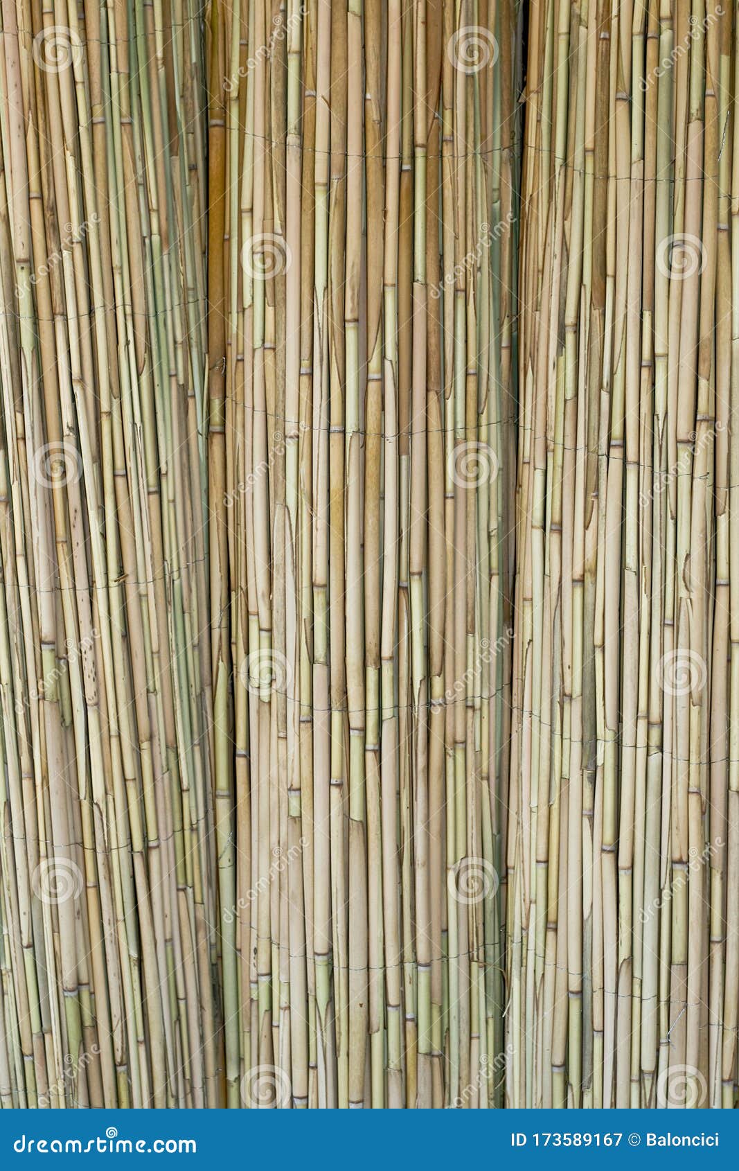 Reed rattan stock image. Image of reed, background, material - 173589167