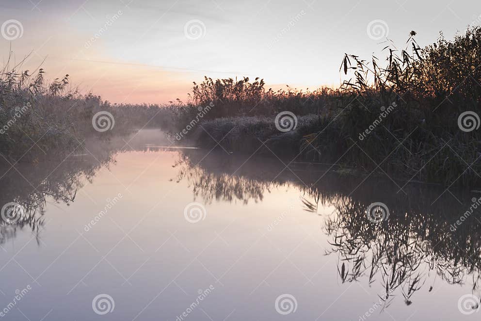 Reed reflection stock photo. Image of relax, morning - 17367192