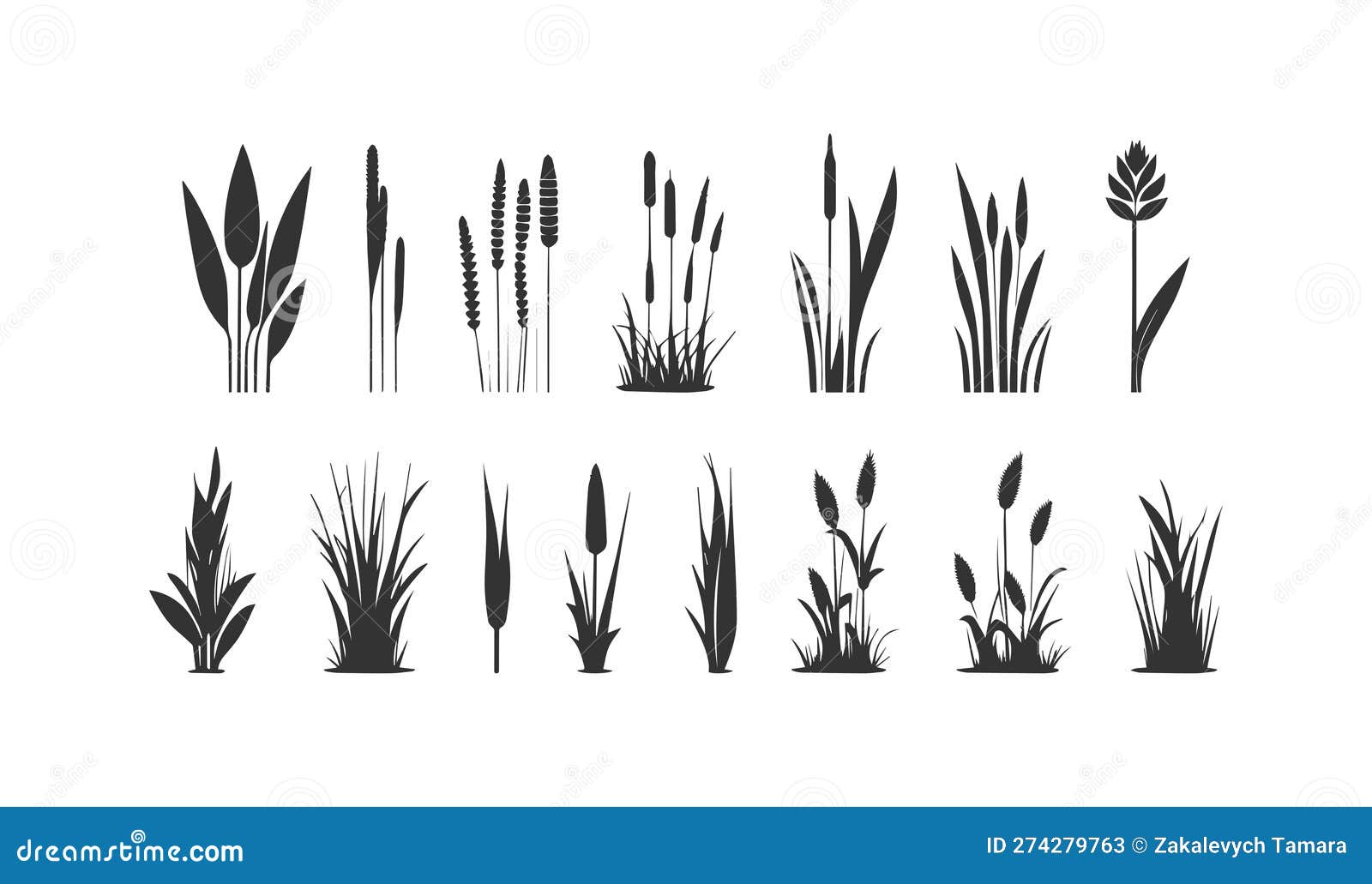 Reed Silhouette Seamless Border. Vector Illustration Isolated On White ...