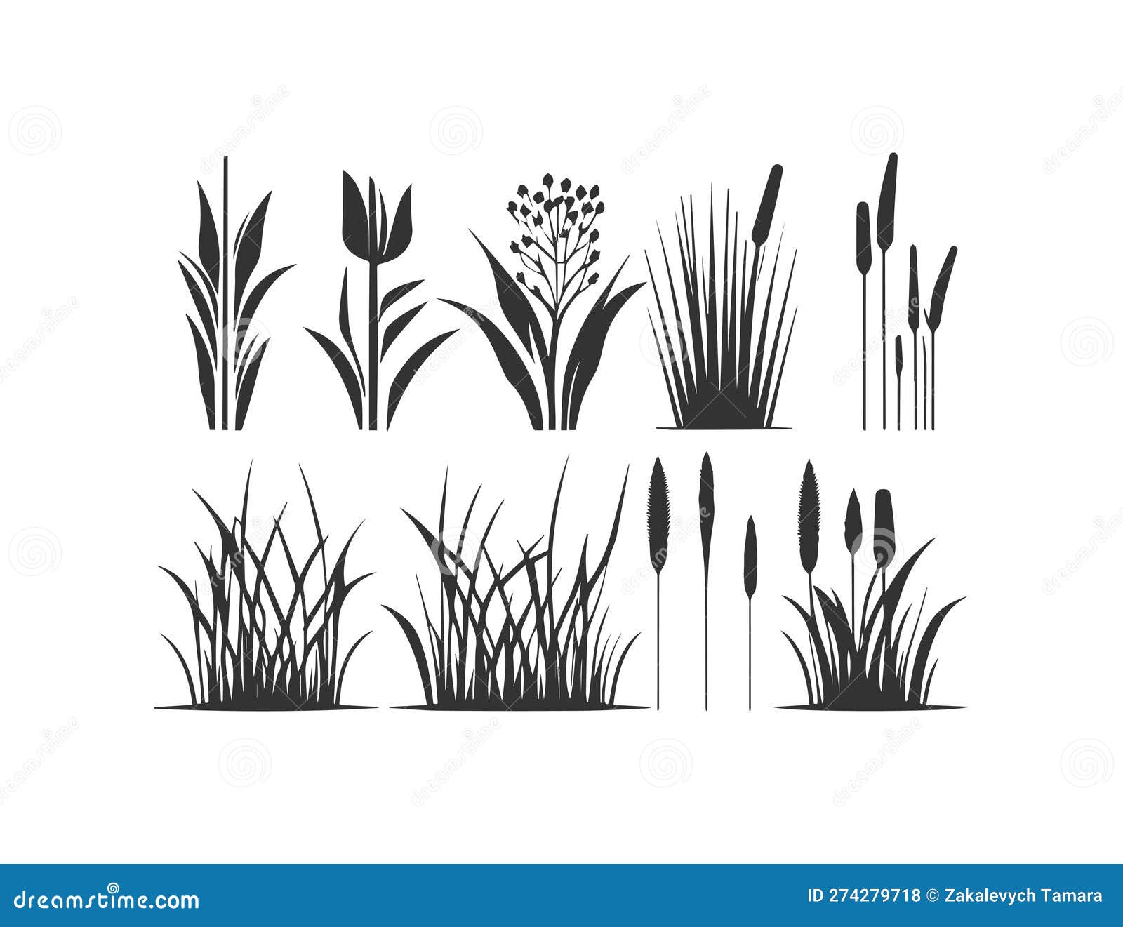 Reed Silhouette Icon. Vector Illustration Stock Illustration ...