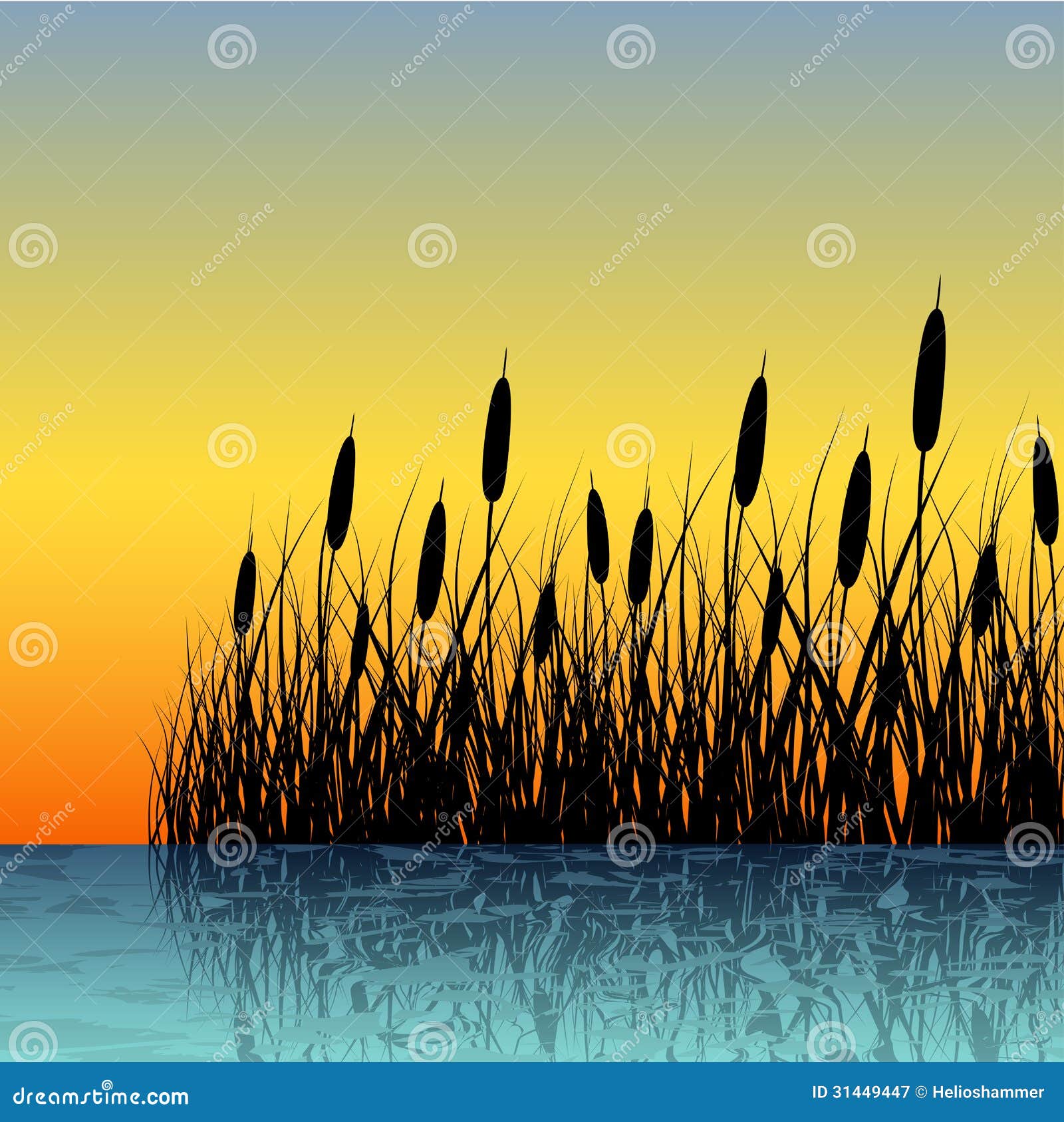 Reed Silhouette Set. Vector Illustration Isolated On White. Plants On ...