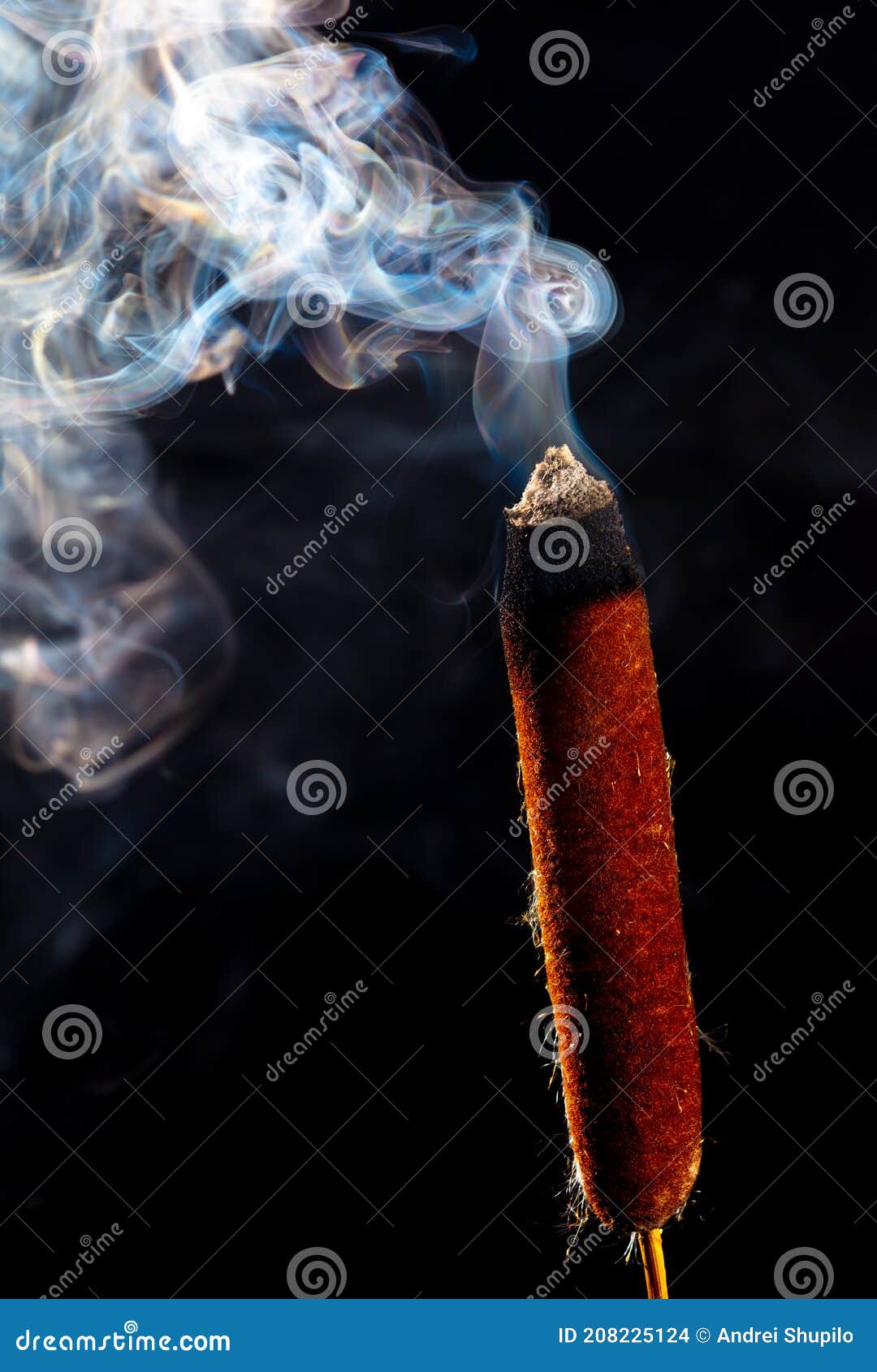 Reed Smoke Isolated on Black Stock Photo - Image of diffuser, smell ...