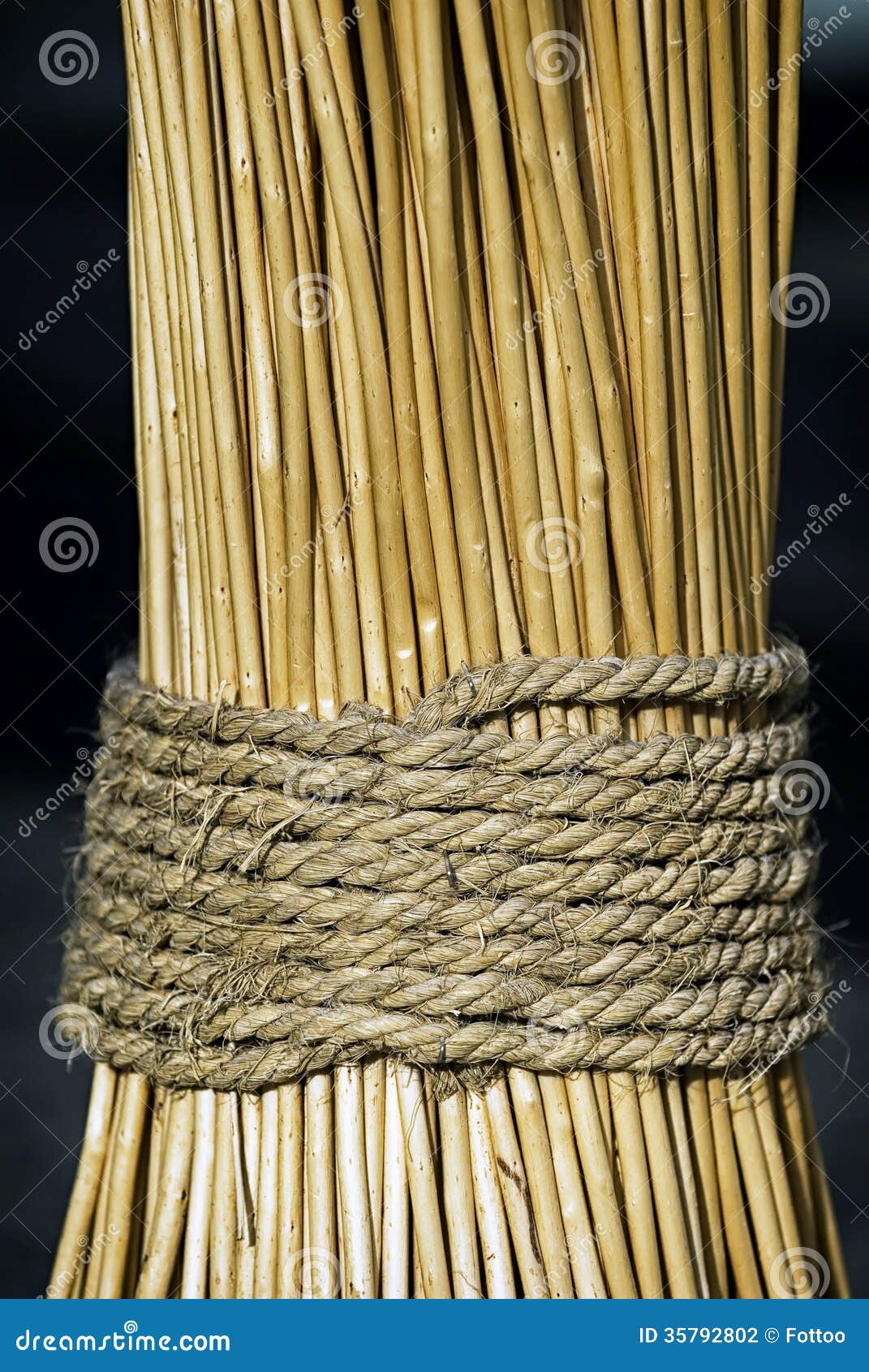 Reed stock photo. Image of string, natural, bamboo, harvesting - 35792802