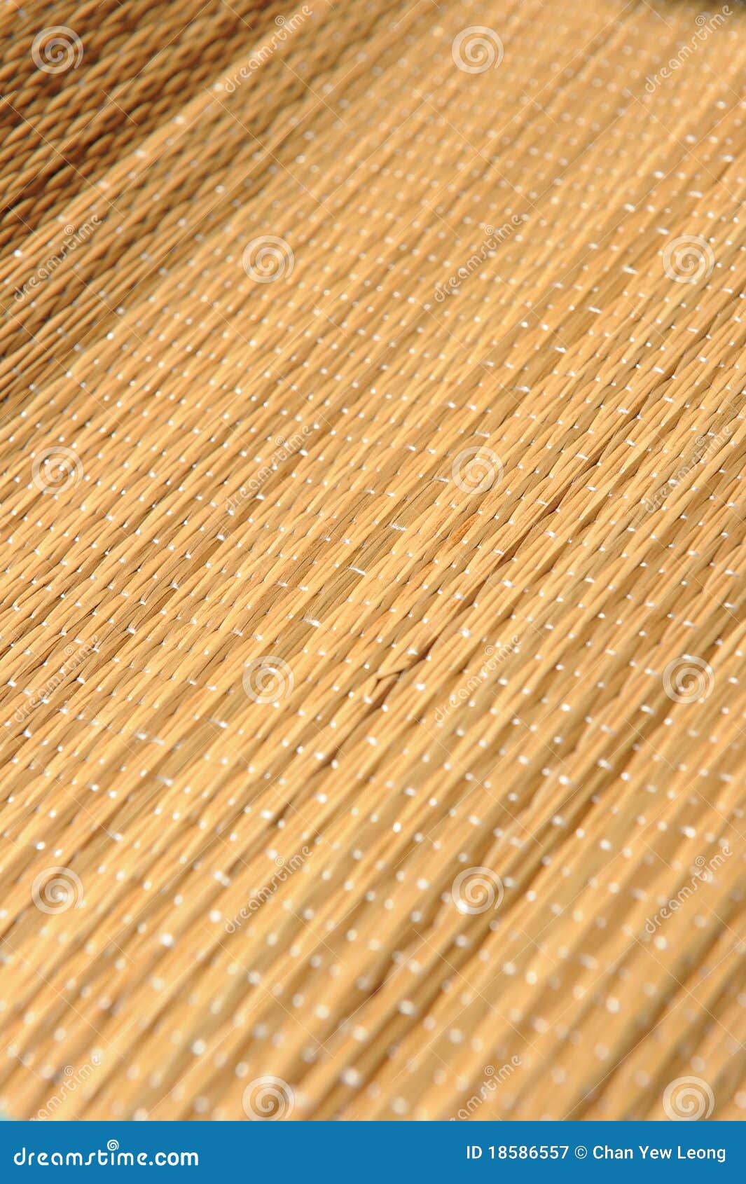Reed Texture stock image. Image of retro, closeup, nature - 18586557