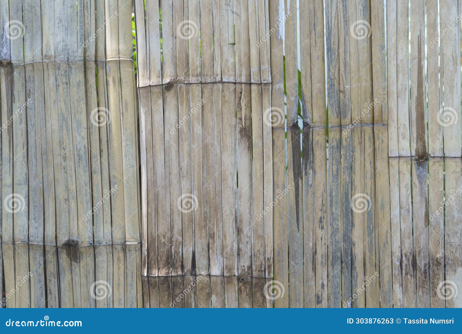 Reed Texture Royalty-Free Stock Photography | CartoonDealer.com #8945777