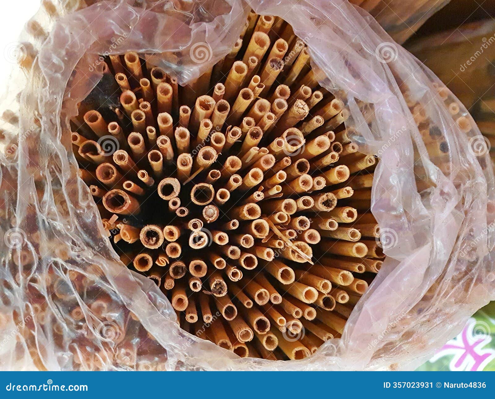 Reed texture background. stock image. Image of protection - 357023931