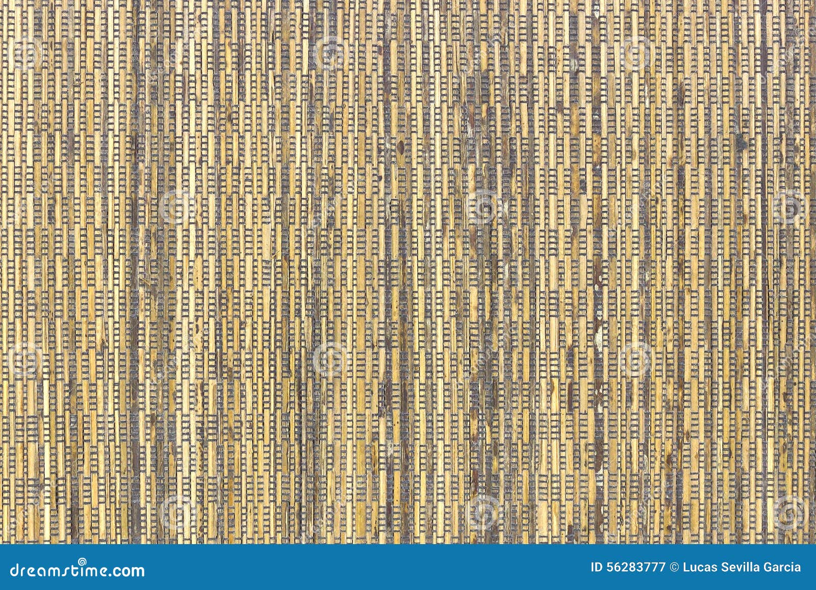 Reed Texture Stock Image | CartoonDealer.com #59073703