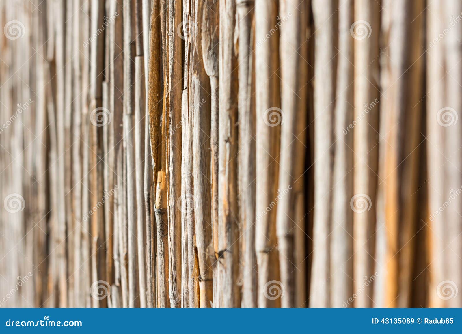 Reed Texture stock image. Image of decor, fence, bark - 43135089