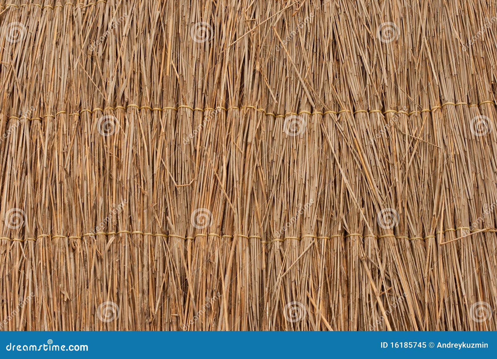 18,402 Reed Texture Background Stock Photos - Free & Royalty-Free Stock ...