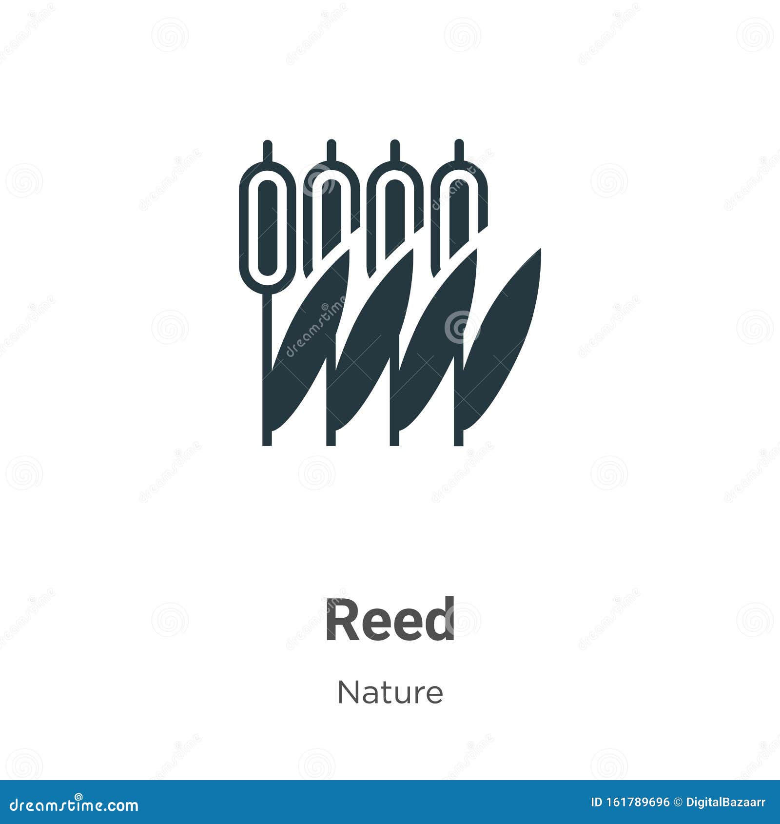 Reed Vector Icon On White Background. Flat Vector Reed Icon Symbol Sign ...