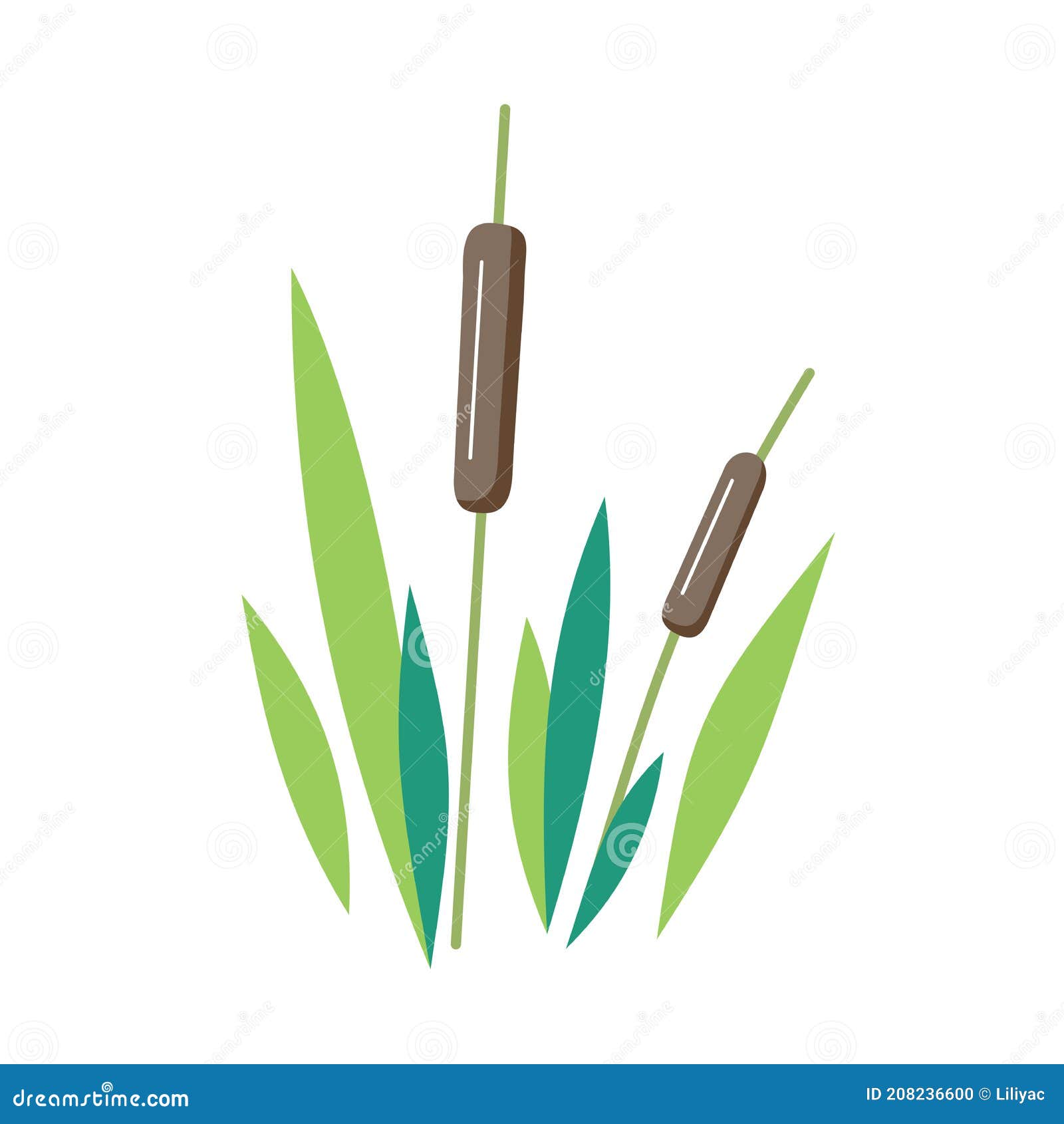 Reed Vector Icon On White Background. Flat Vector Reed Icon Symbol Sign ...