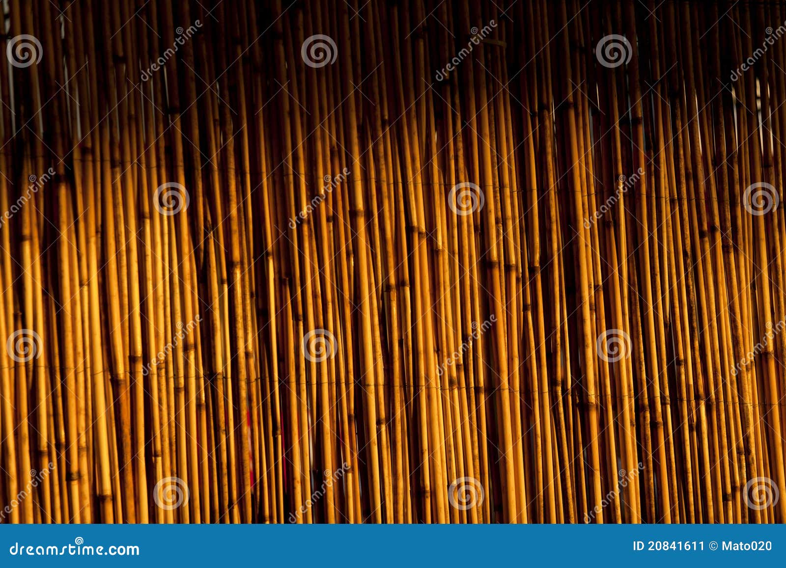 Reed Wall stock image. Image of textured, brown, natural - 20841611