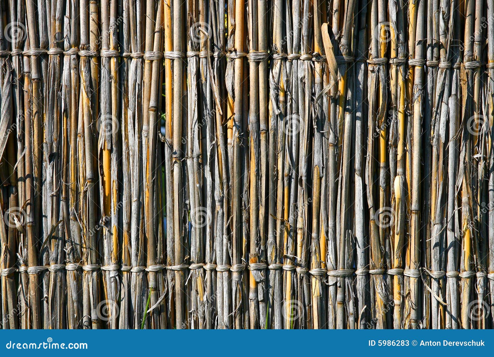 Reed wall stock image. Image of bundle, material, rough - 5986283