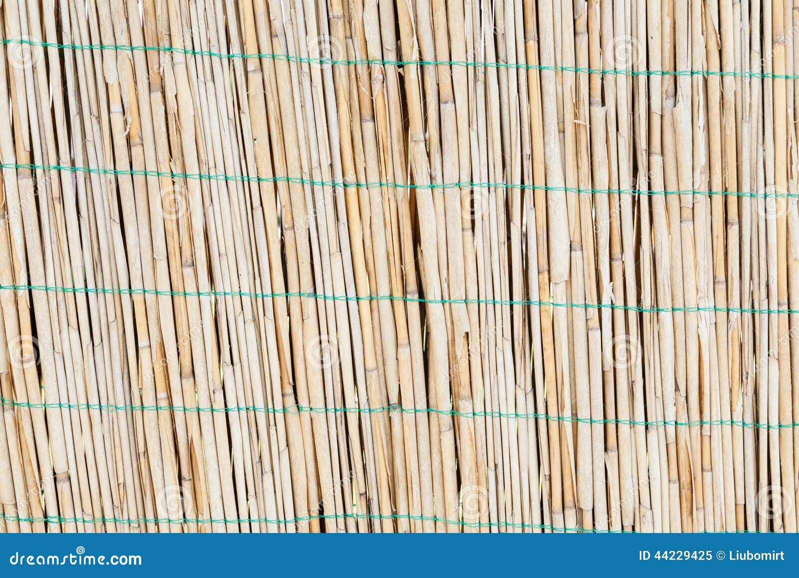 Reed wall background stock image. Image of background - 44229425