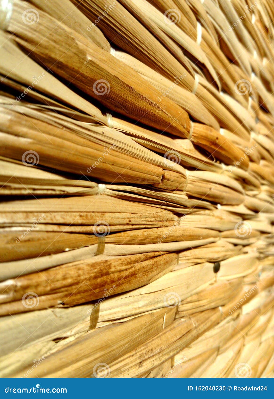 Reed wall cover close-up stock photo. Image of interior - 162040230