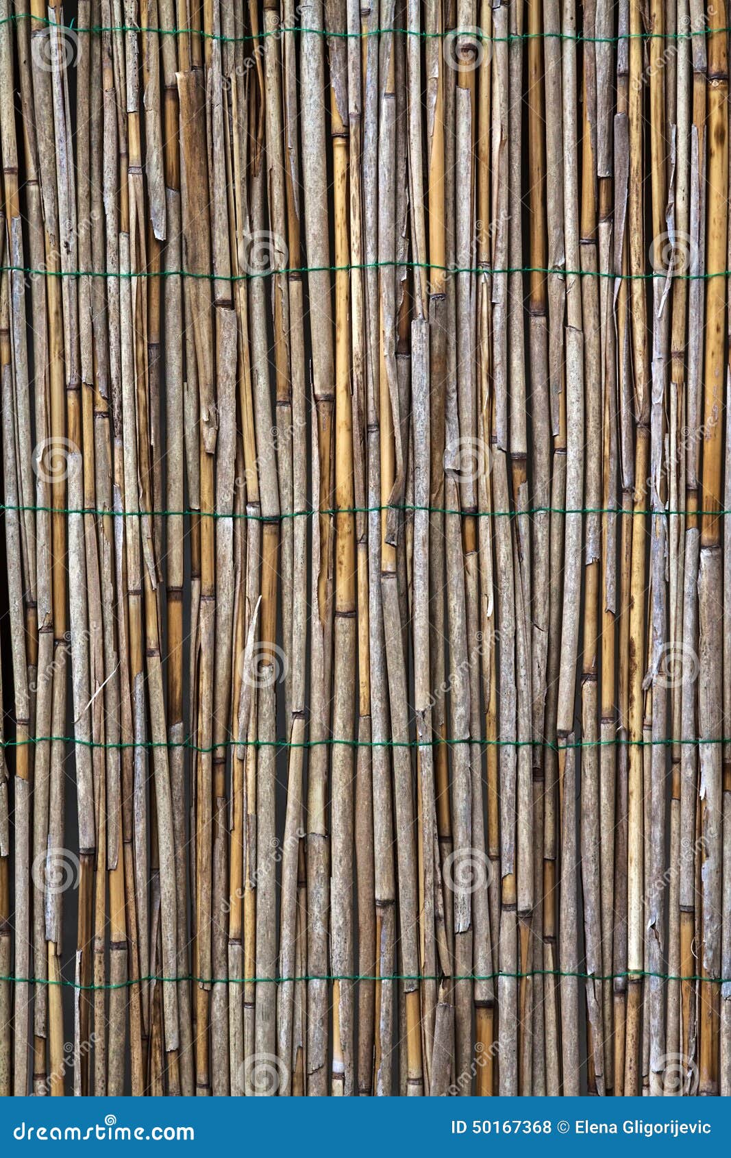 Reed wall stock photo. Image of architecture, climate - 50167368