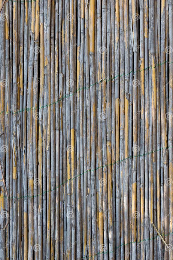 Reed wall texture stock image. Image of reed, cane, texture - 58244647