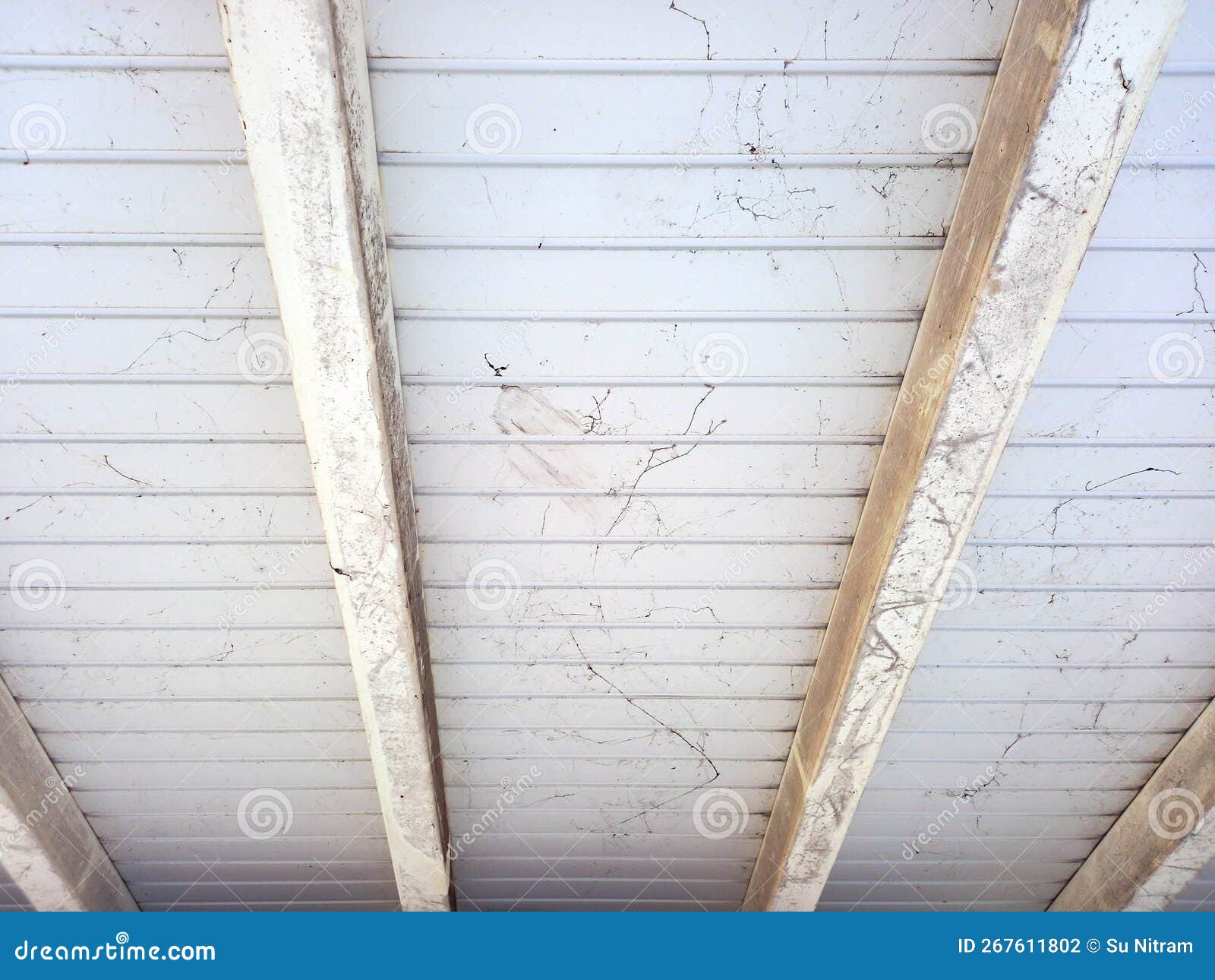 Reed White Wooden Roof Perspective Background. White Ceiling Beams ...