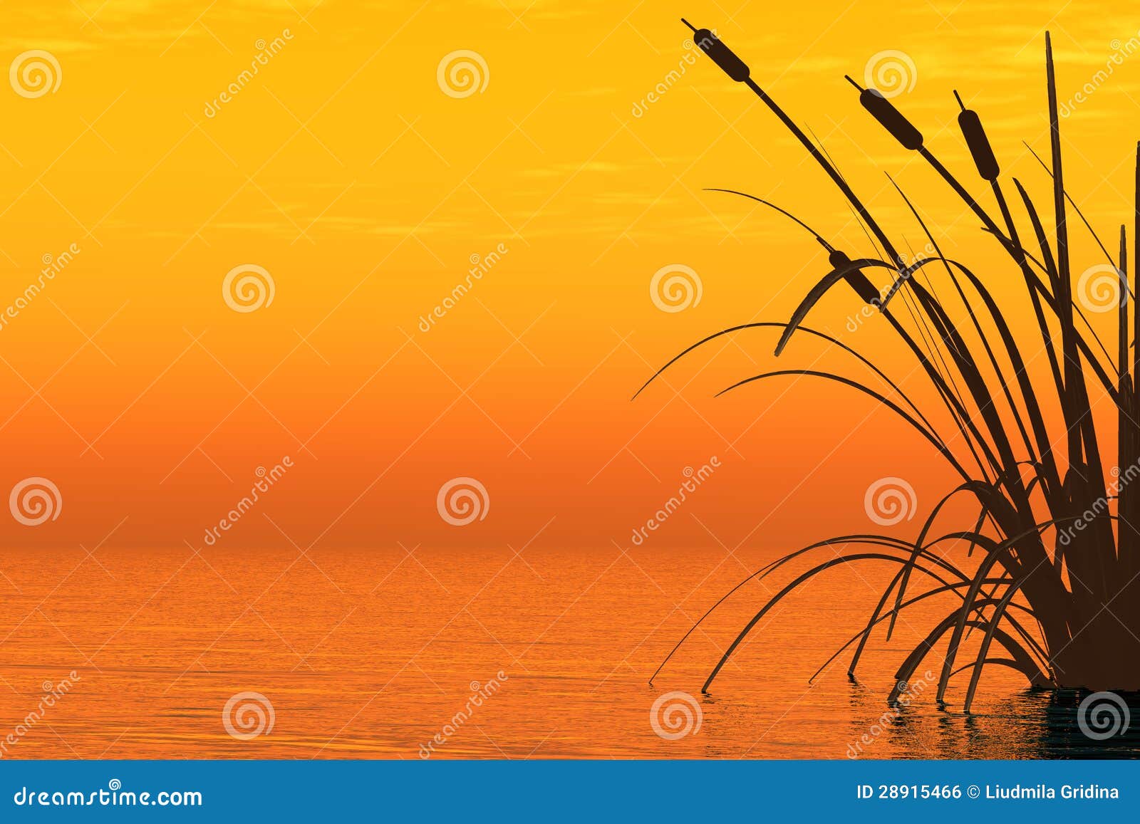 Reeds stock illustration. Illustration of bright, clouds - 28915466