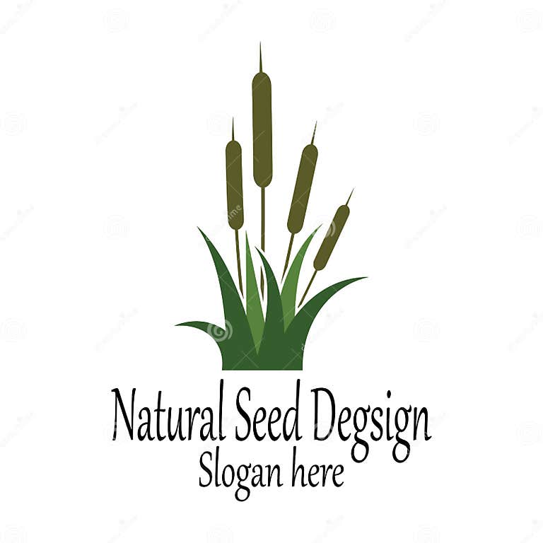 Reeds Icon Vector Design Template and Symbol Stock Vector ...