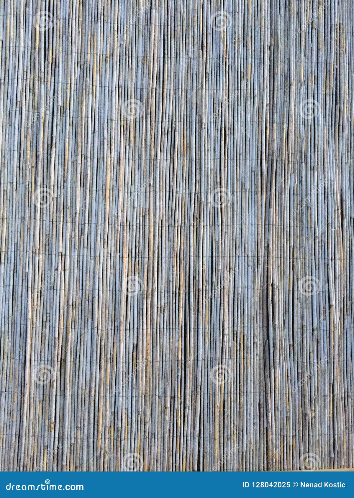 Reeds Texture for Interesting and Creative Backgrounds. Stock Image ...