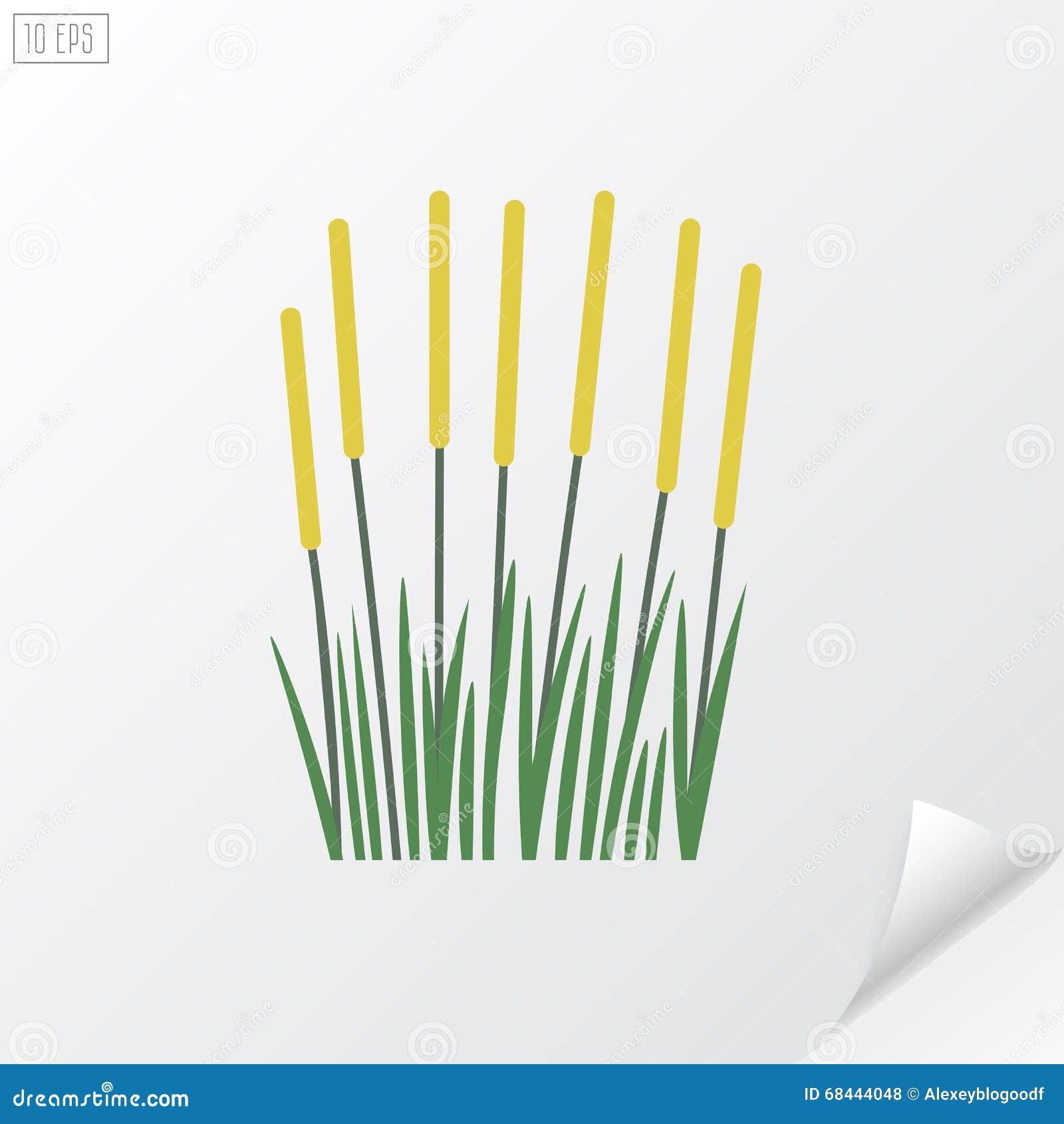 Reeds on white background stock vector. Illustration of branch - 68444048