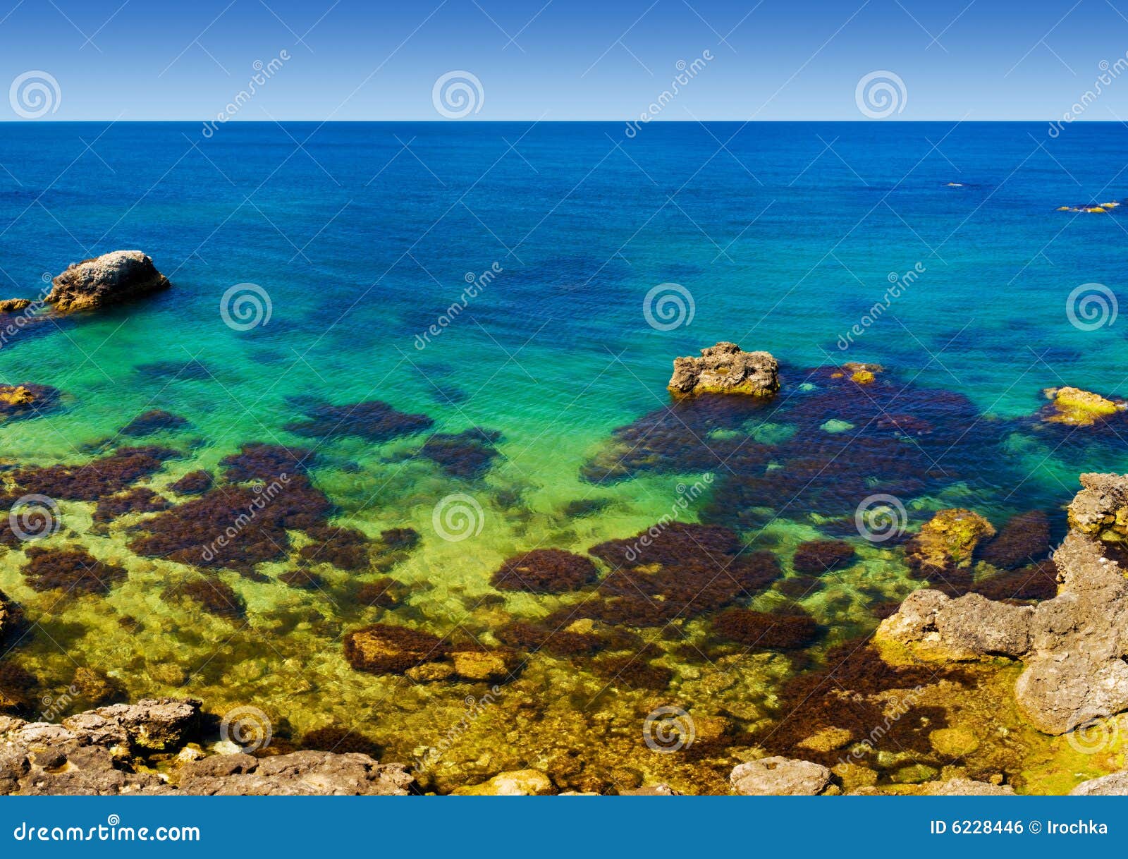 Reef beach stock photo. Image of large, beautiful, marine - 6228446