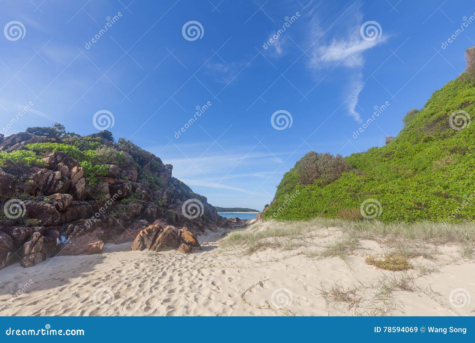 Reef on the Beach stock image. Image of ocean, great - 78594069