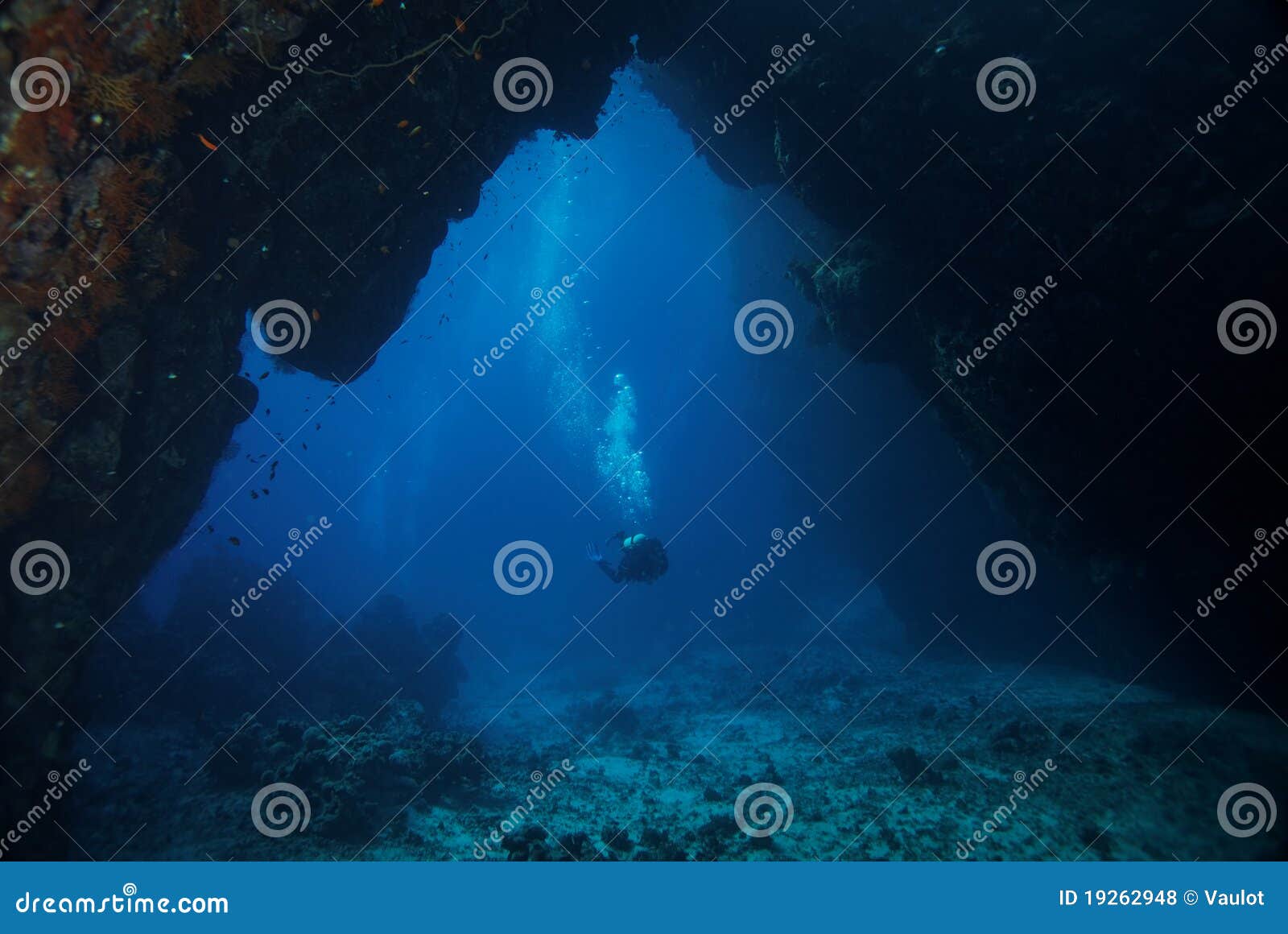 Reef Cave - St John S Reef, Egypt Stock Photo - Image of africa, john ...