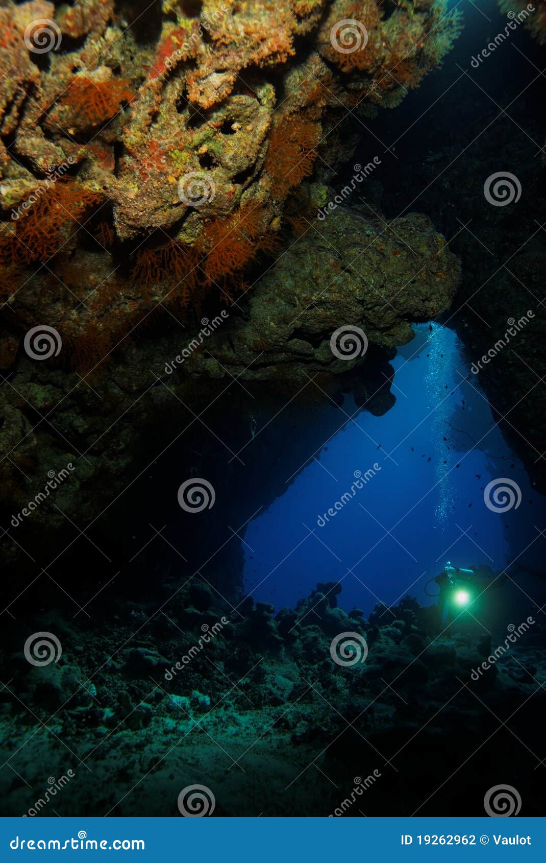 Reef Caves - St John S Reef, Egypt Stock Photo - Image of egypt, scuba ...