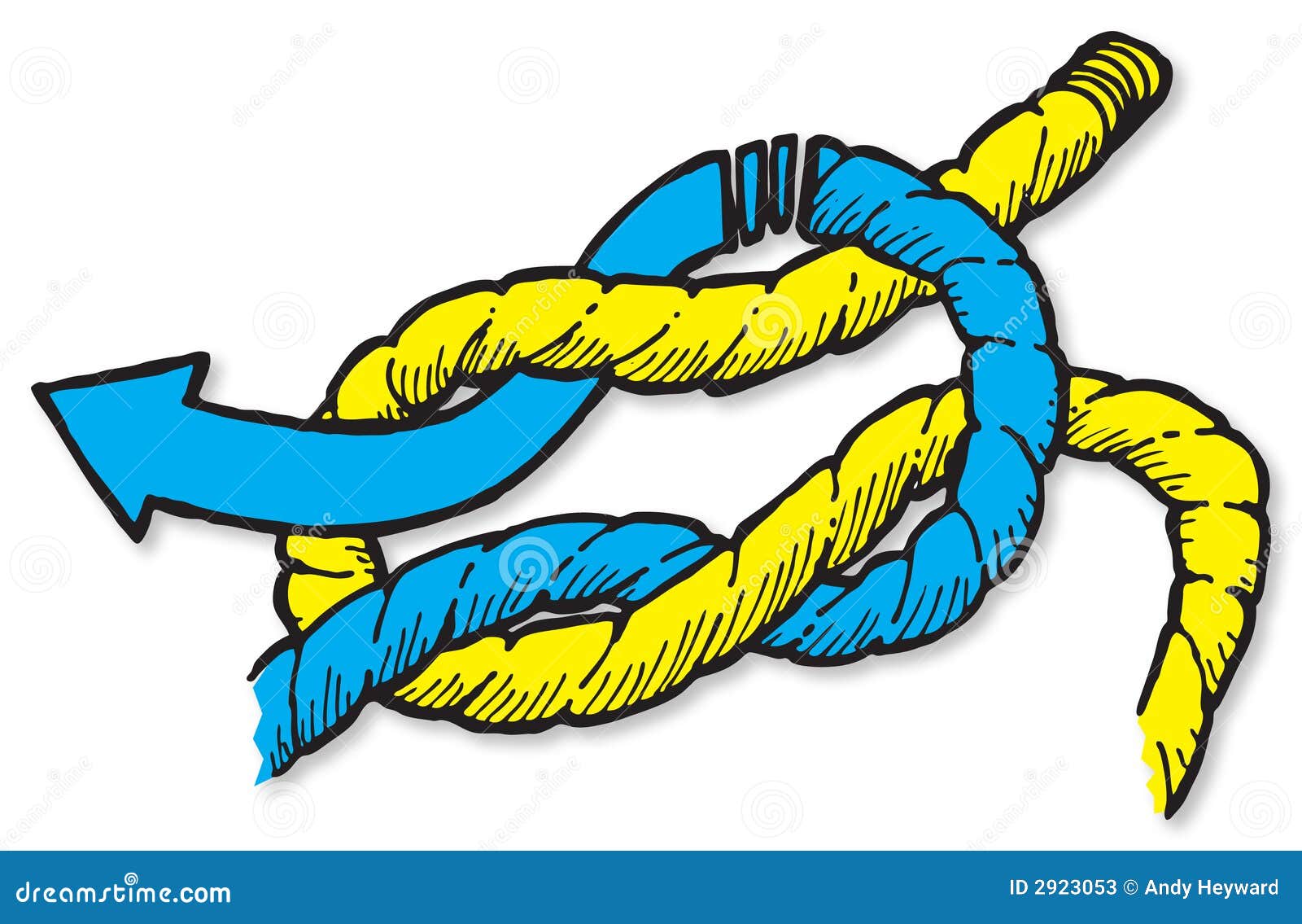 Reef Knot Cartoon Vector | CartoonDealer.com #2923053