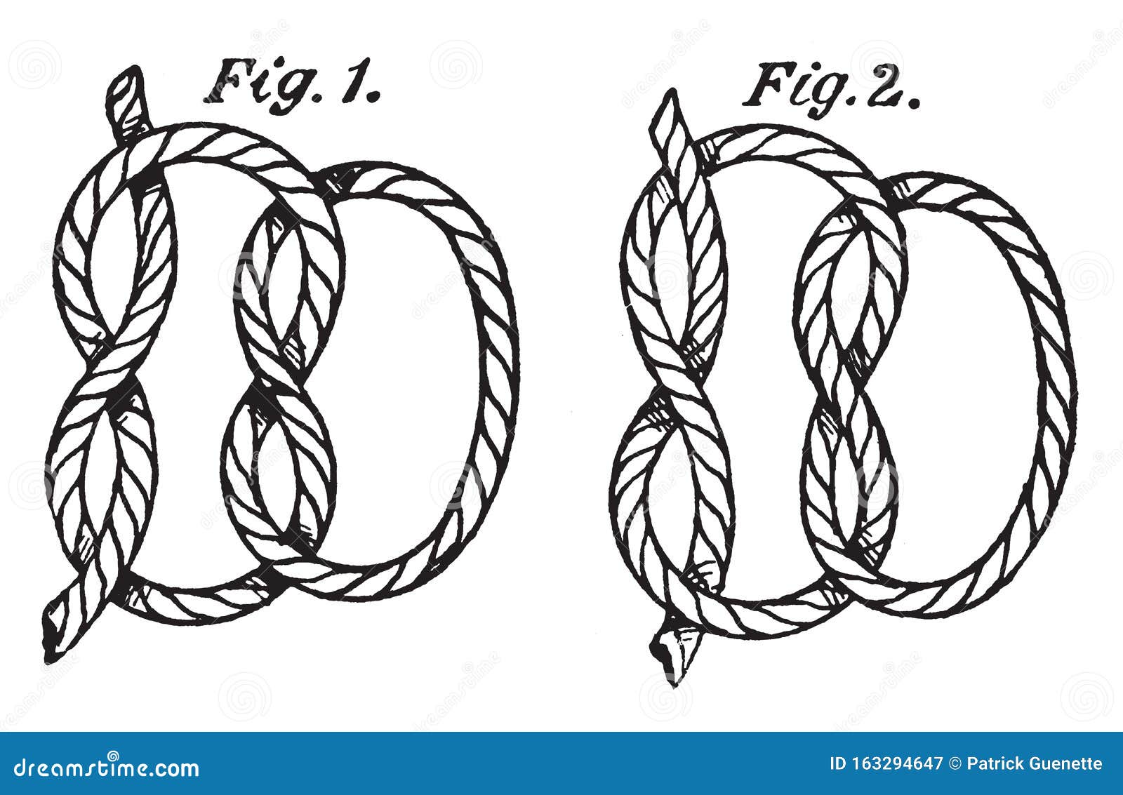 Reef Knot, Vintage Illustration Stock Vector - Illustration of vintage ...