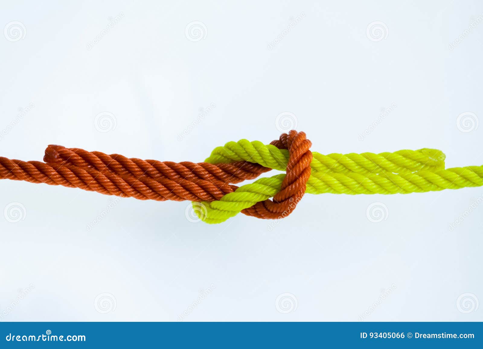 Reef knot stock photo. Image of granny, lashing, safety - 93405066