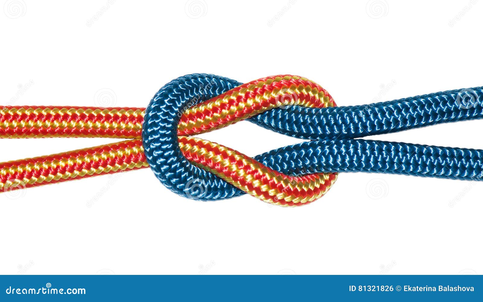 Reef Knot, Yellow and Blue Ropes. Stock Photo - Image of ocean, reef ...