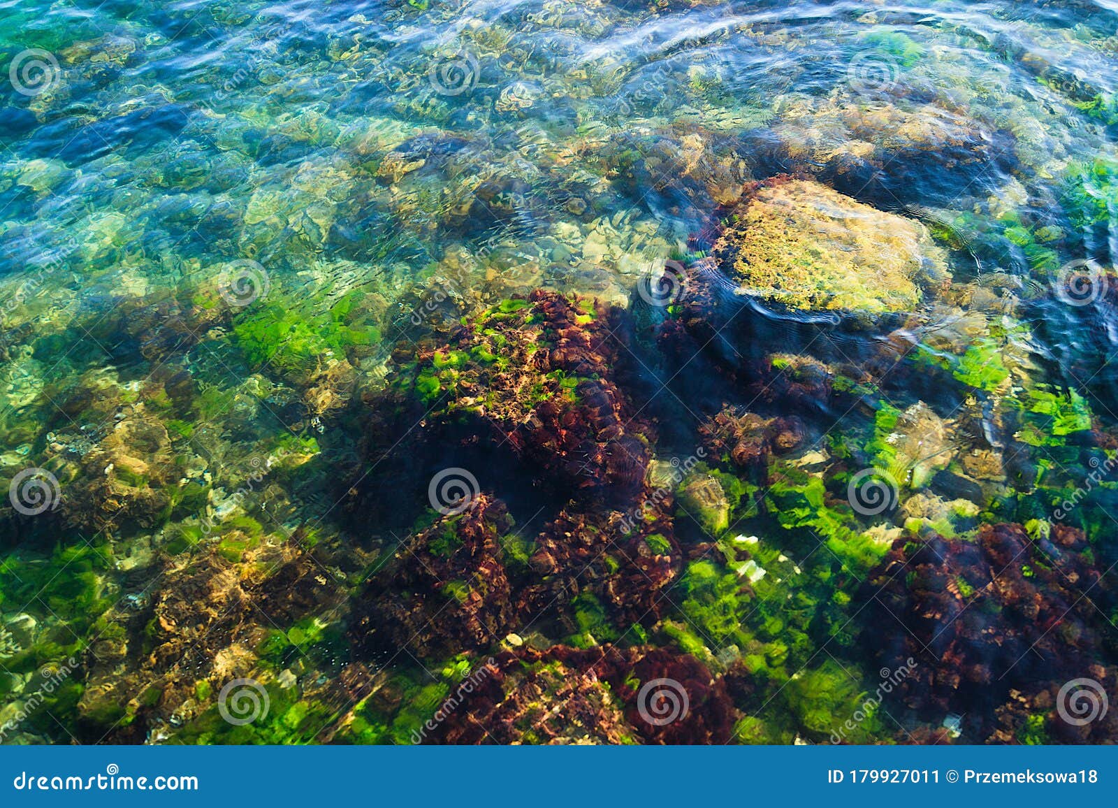 A Reef Off the Adriatic Coast and Underwater Rocks Covered with Green ...