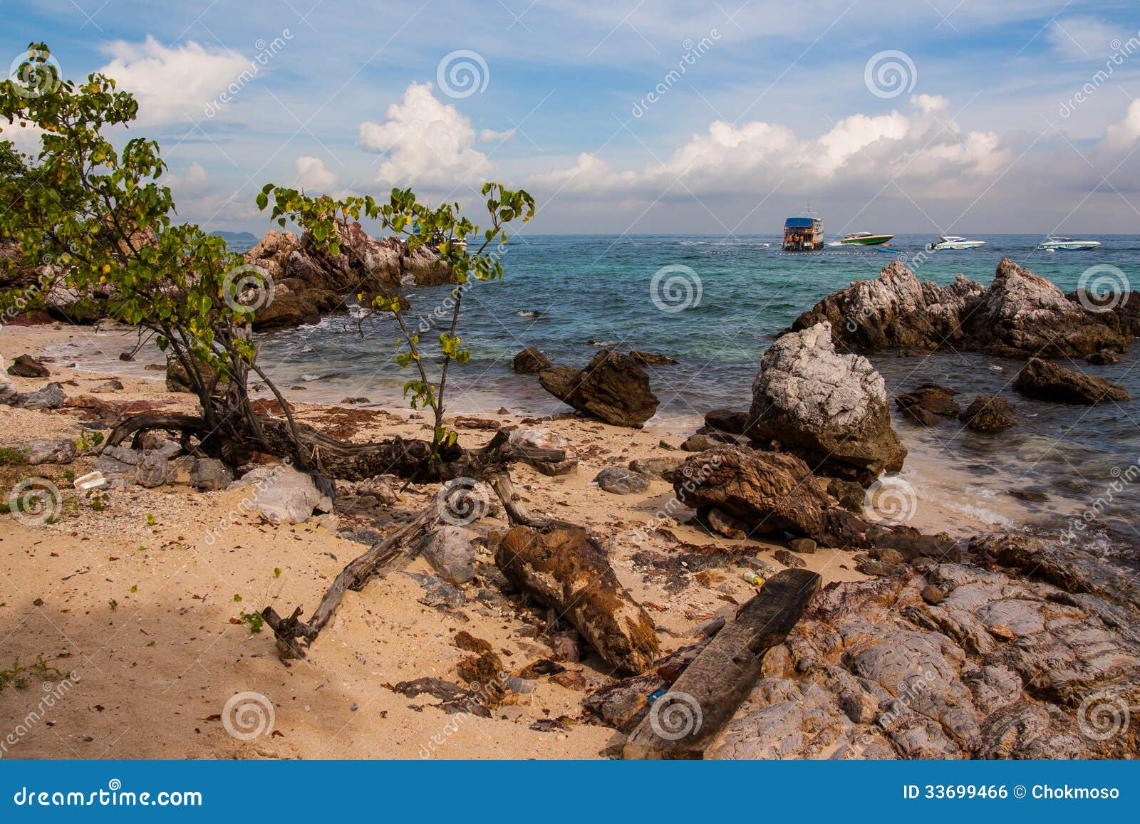 Reef stock photo. Image of stone, seaside, rock, wave - 33699466
