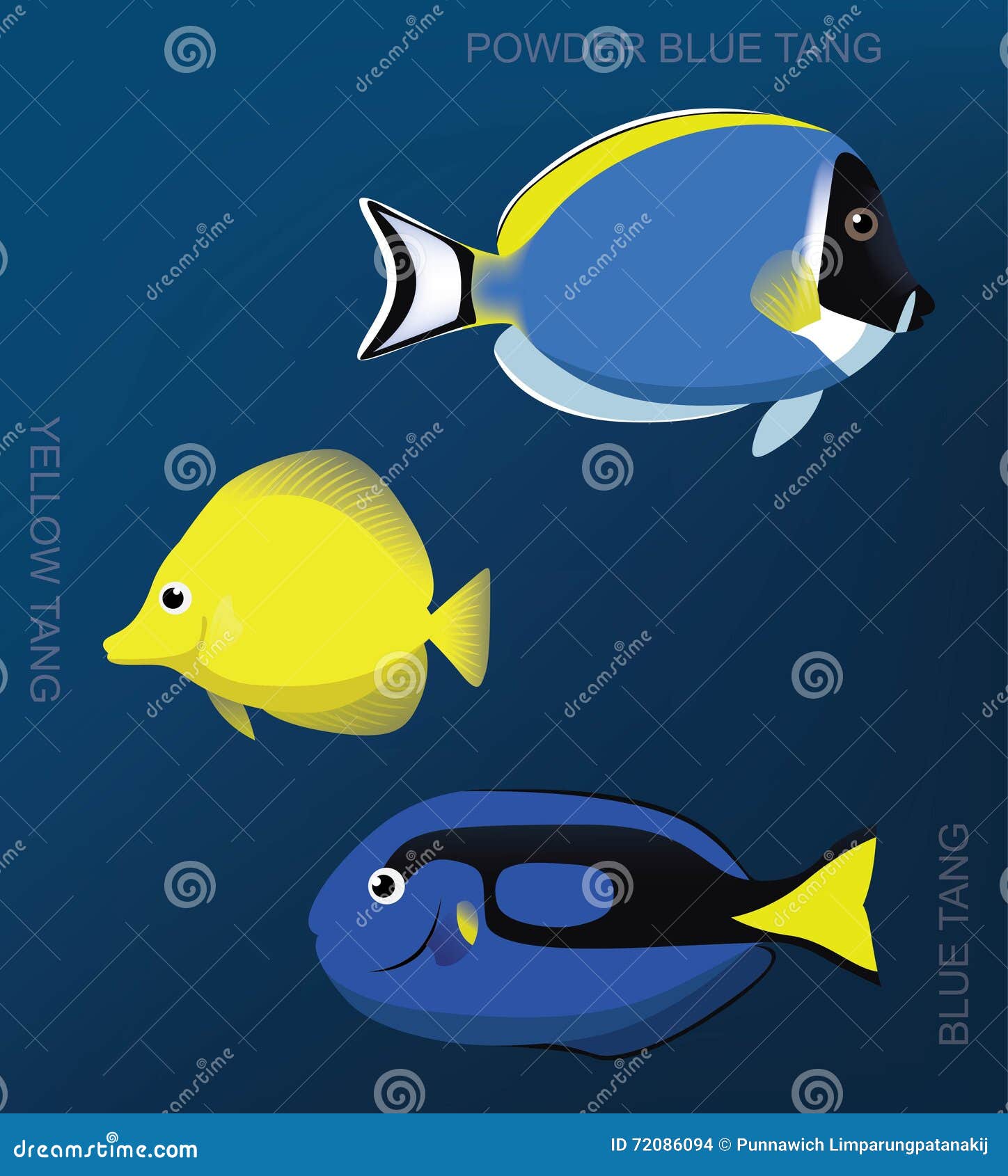 Reef Surgeonfish Set Cartoon Vector Illustration Stock Vector ...