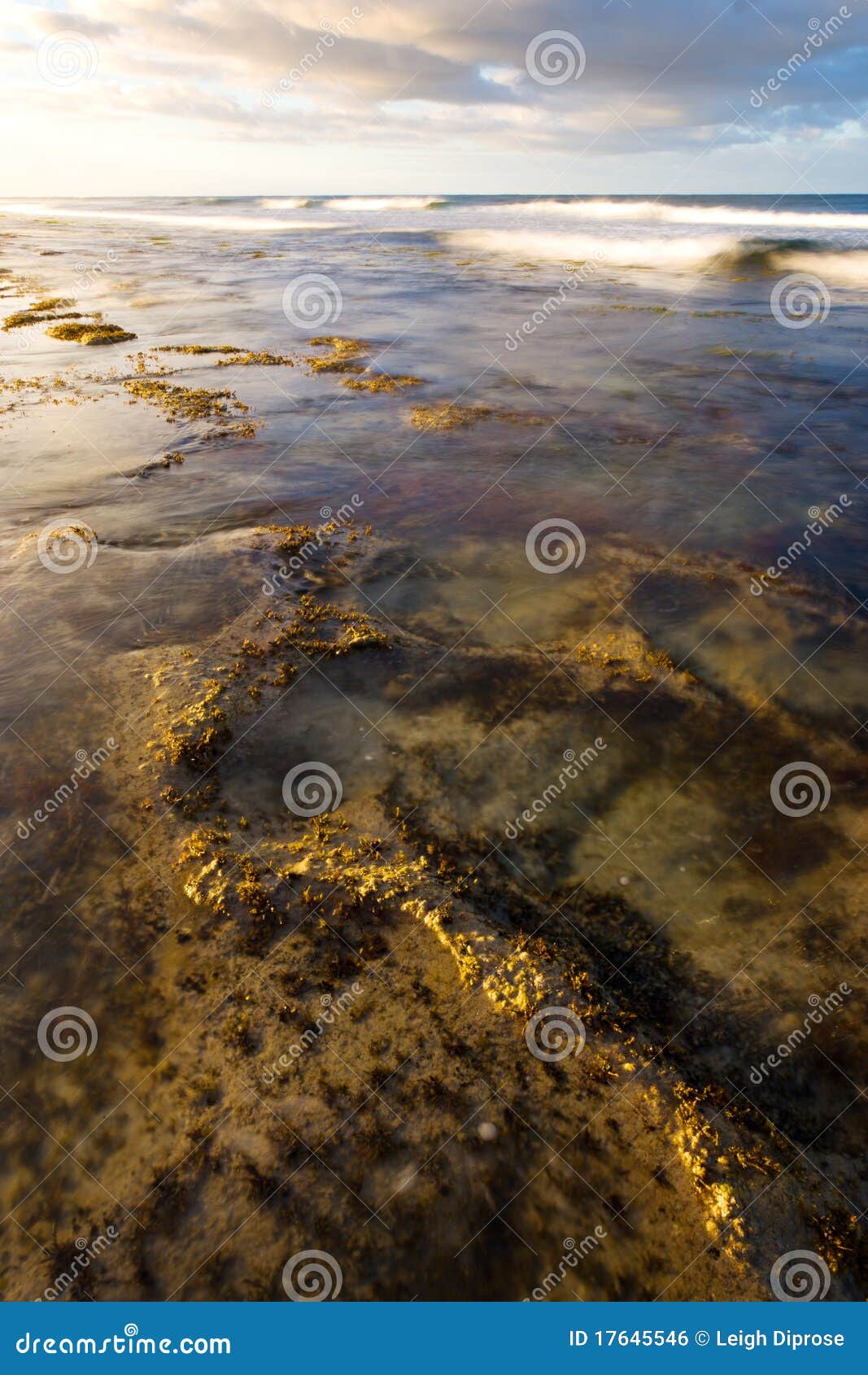 Reef and Waves stock photo. Image of coast, travel, rocks - 17645546