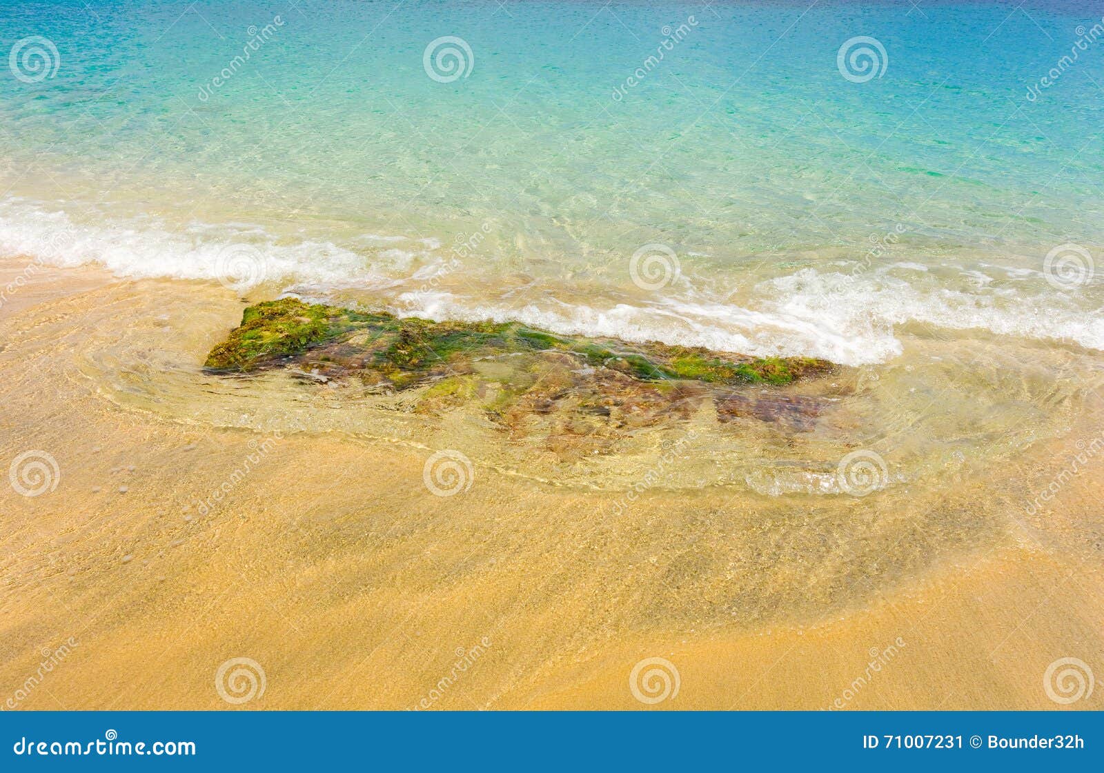 A Reef in the Windward Islands Stock Image - Image of bequia ...